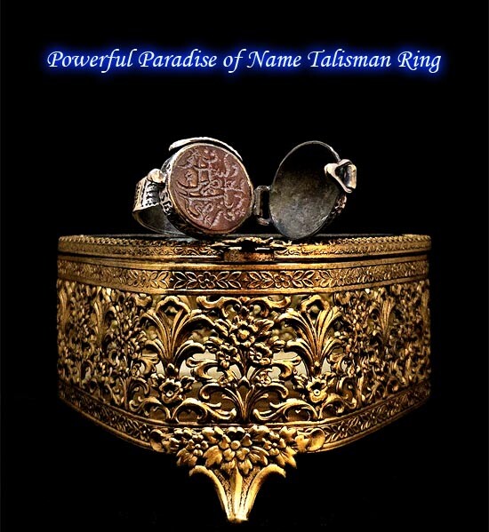 Negative Energy Suppressor & Positive Energy Amplifier (livelihood ...